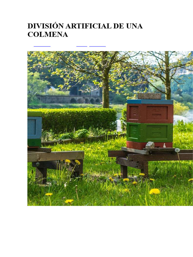 División Artificial de Una Colmena | PDF