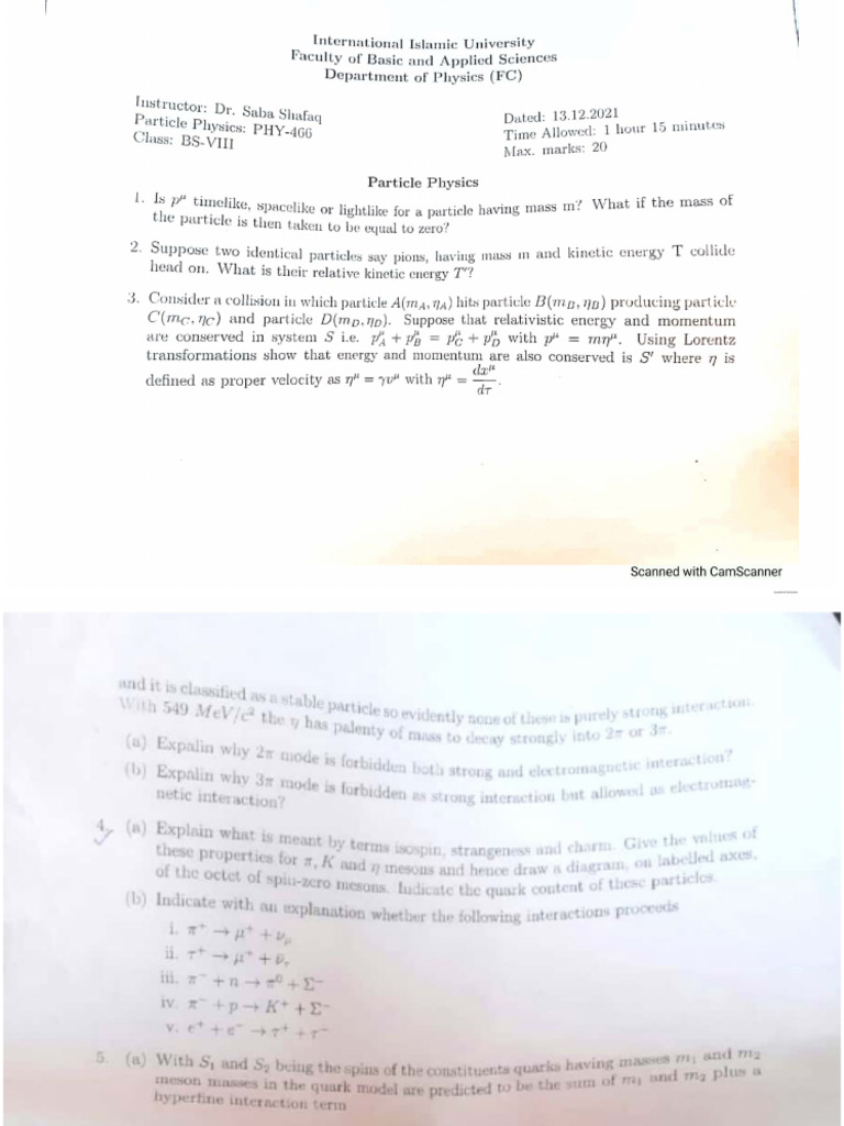 Past Participle Paper | PDF