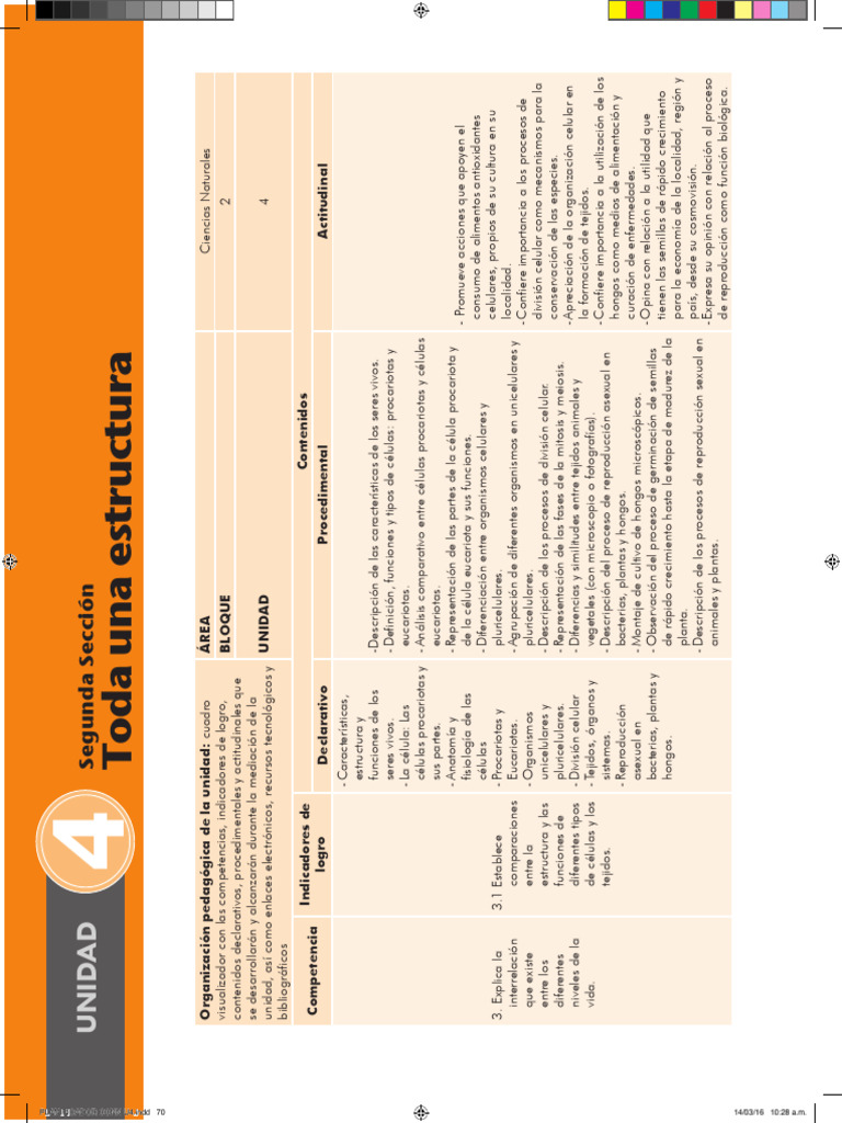 Planificador Ccnn u4 (1) | PDF