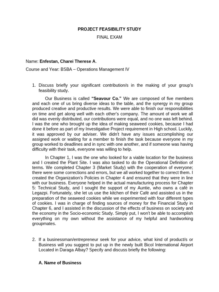Project Feasibility Study Final Exam | PDF