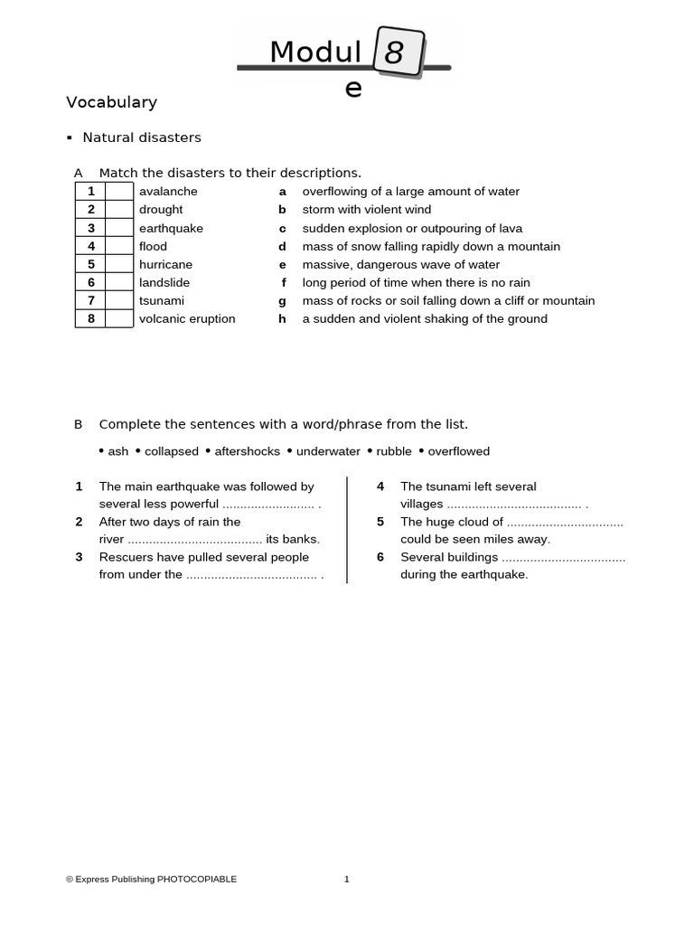 08 OnScreen B2 Module 8 | PDF