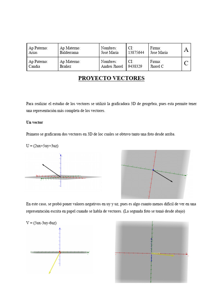 Proyecto Vectores | PDF