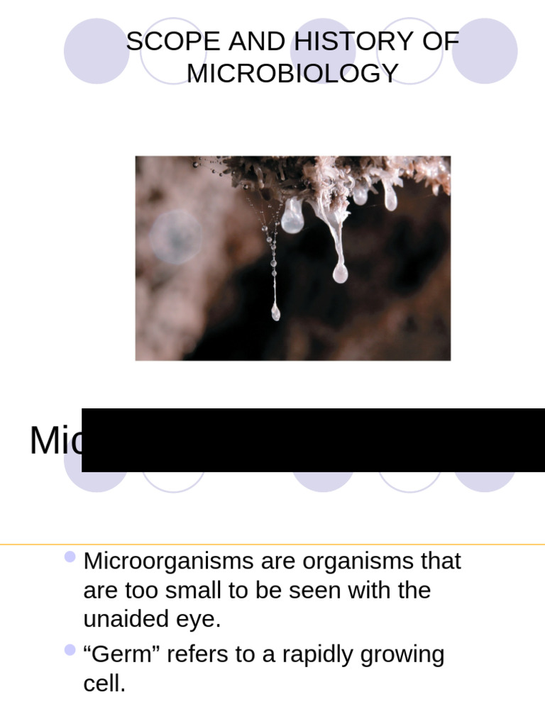 Host Microbe Interactions | PDF