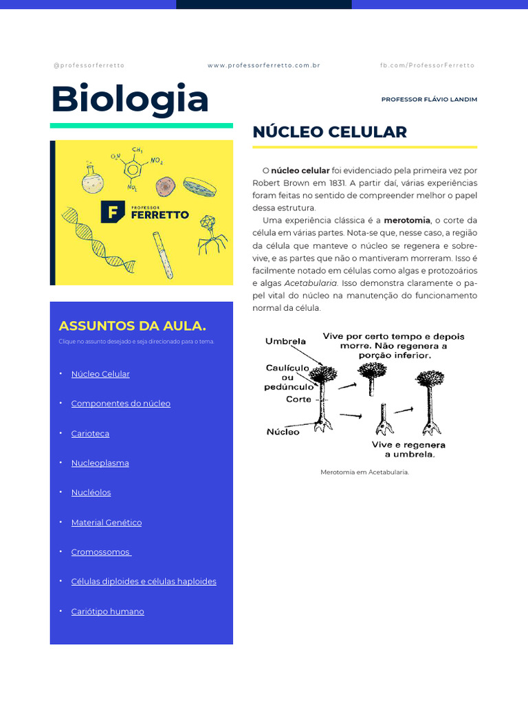 Núcleo Celular | PDF