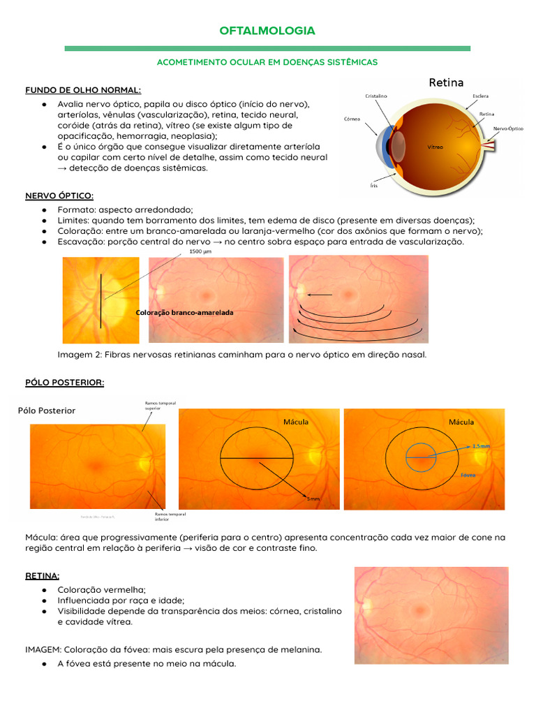 Resumo Oftalmo | PDF