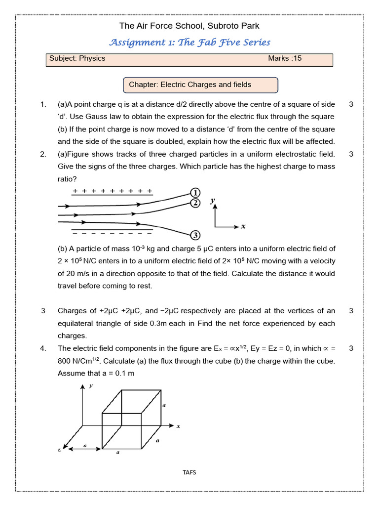 FAB FIVE Assignment 1 xii | PDF
