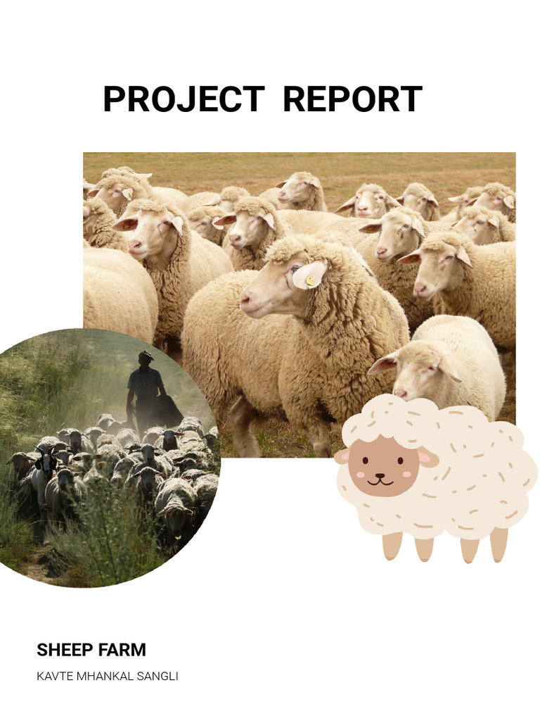 SHEEP FARM | PDF