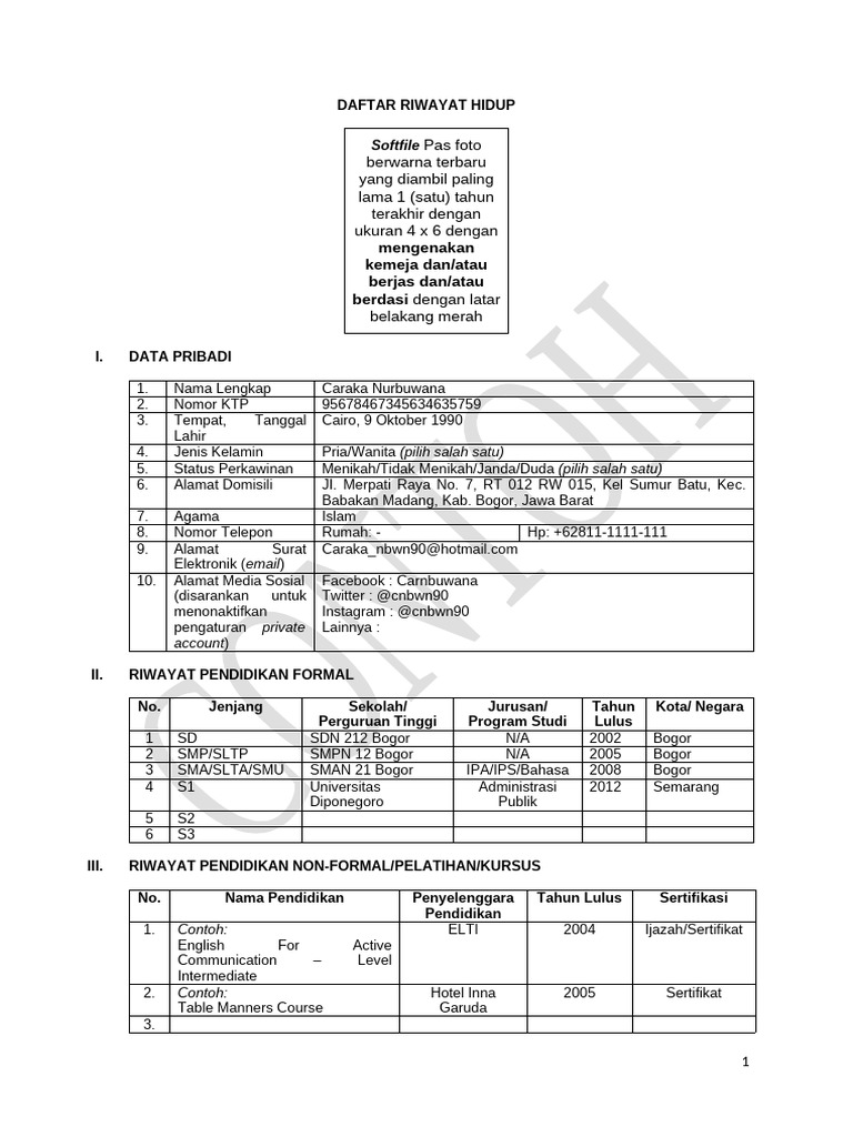 C Formulir Daftar Riwayat Hidup Kemlu | PDF
