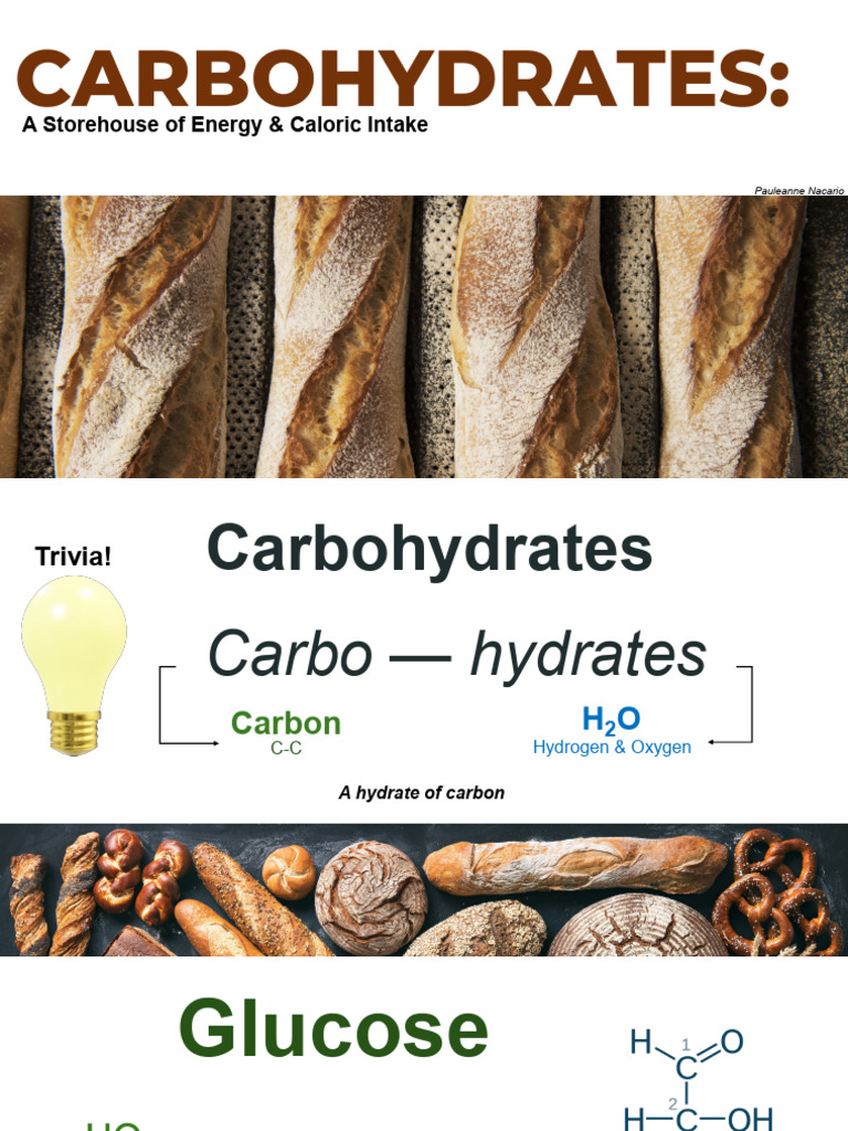 Carbohydrates | PDF