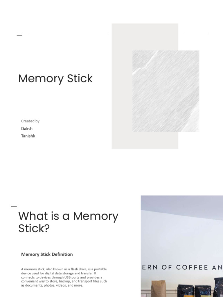 Memory Stick | PDF