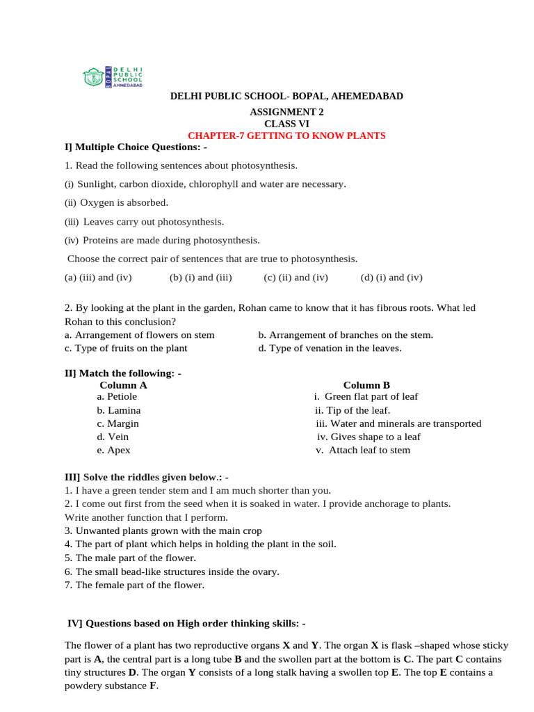 CH 4 Getting To Know Plants ASSIGNMENT 2 | PDF