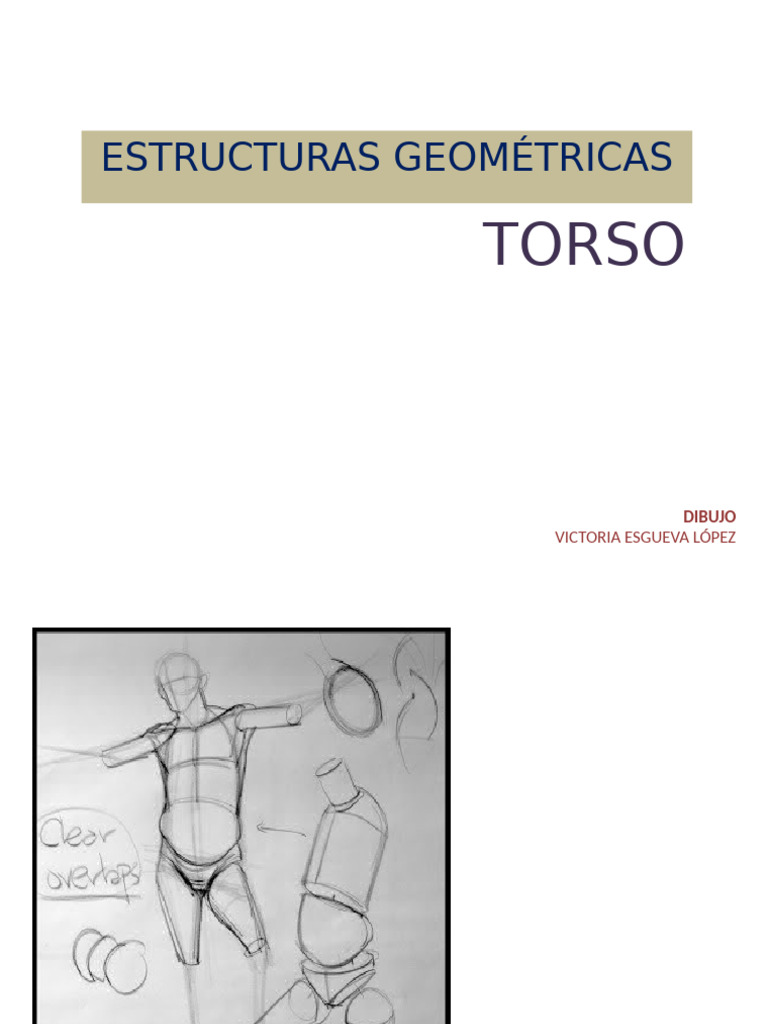 Torso | PDF