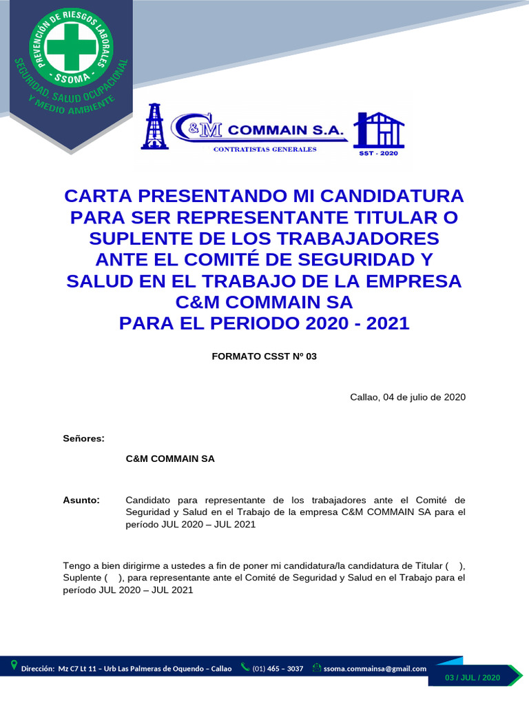 Carta Presentando Candidatura Del CSST | PDF