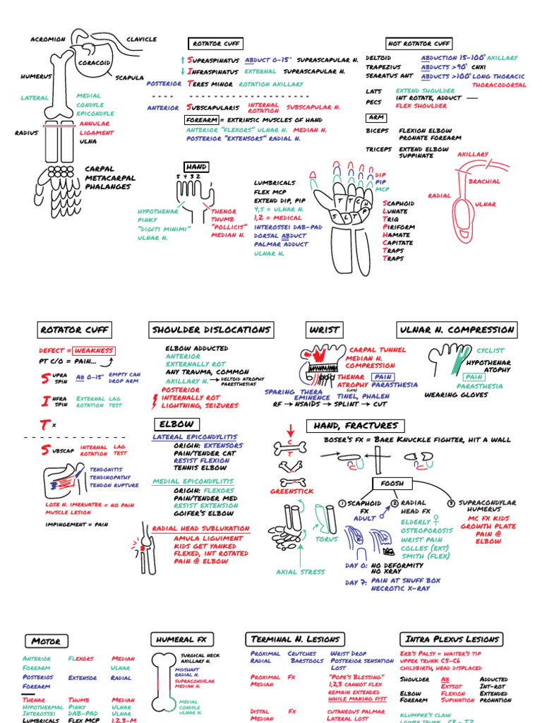1.c Musculoskeletal - Orthopedics Whiteboard (Combined) | PDF