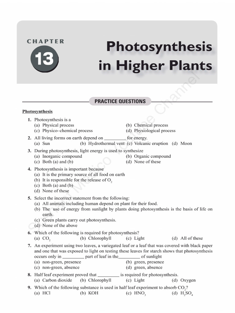 Photosynthesis in Higher Plants. | PDF