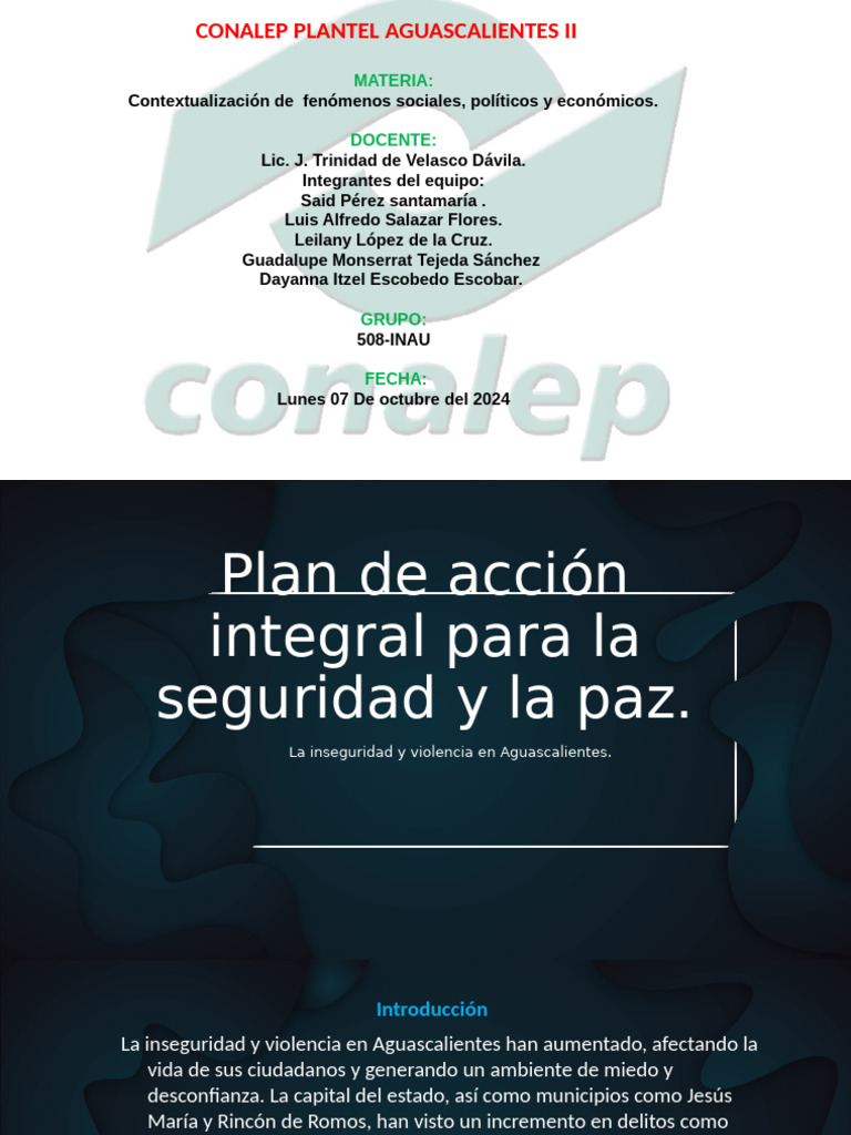 Plan de Accion | PDF