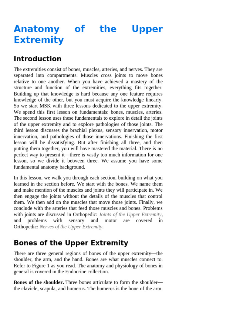 Anatomy of The Upper Extremity | PDF