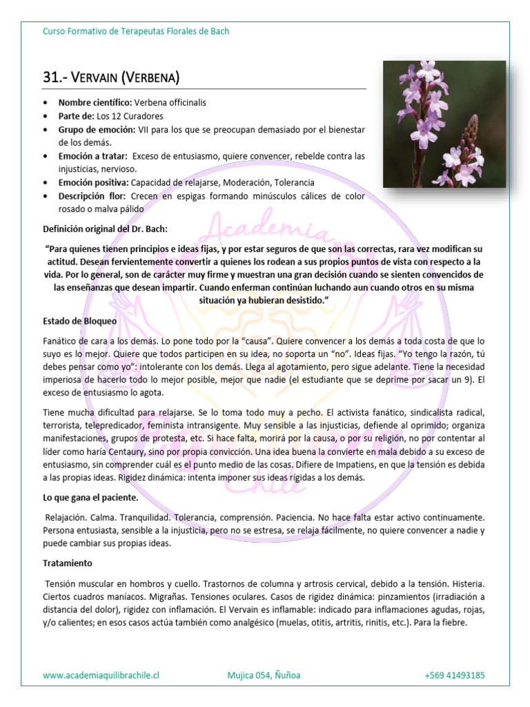 Clase 4 Esencias de 31 A 38 Rescue Remedy | PDF