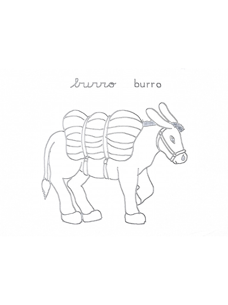 Burro | PDF