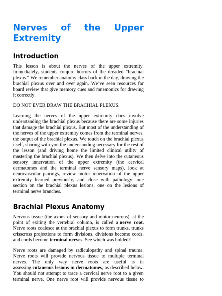 3. Nerves of the Upper Extremity | PDF