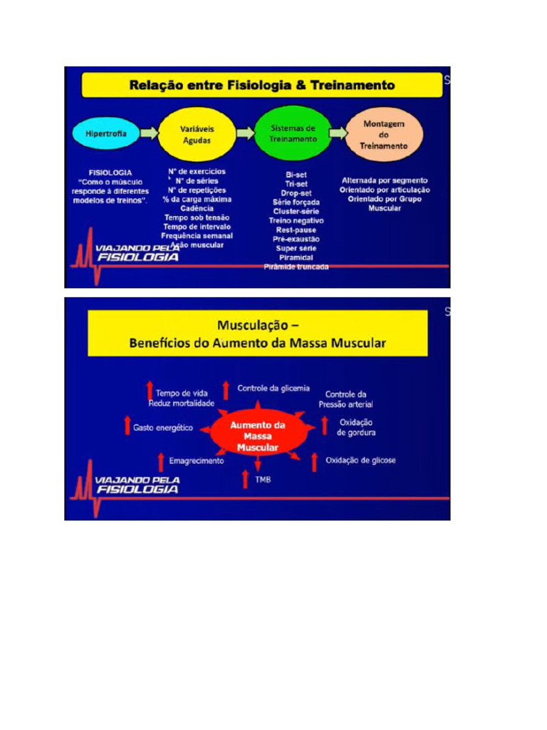 Workshop Fisiologia Da Hipertrofia | PDF