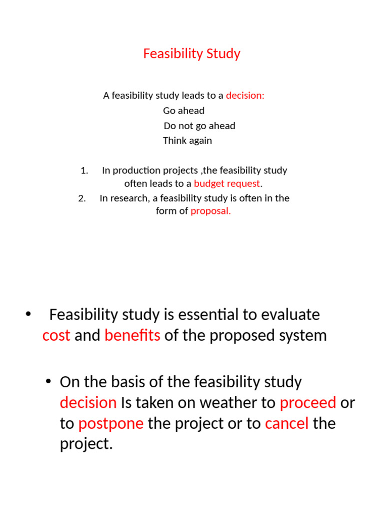 Feasibility Study | PDF