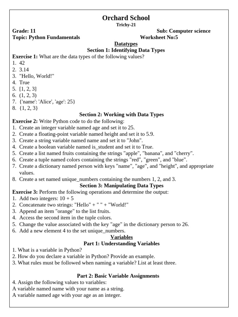 Grade 11 - CH 4 - Python Fundamentals - Worksheet 5 | PDF