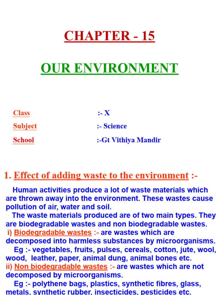 Our Environment - PPT 1 | PDF