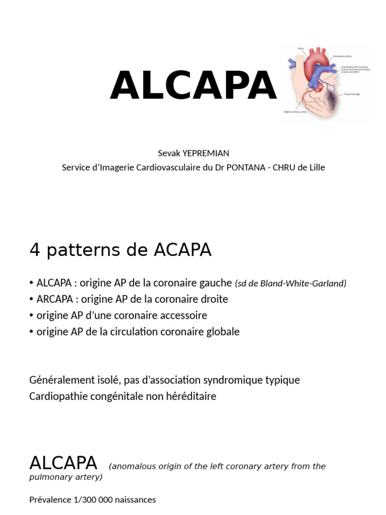 Alcapa | PDF