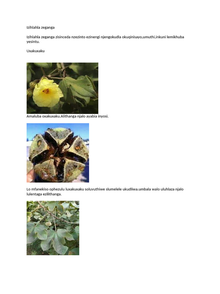 Ndebele language | PDF