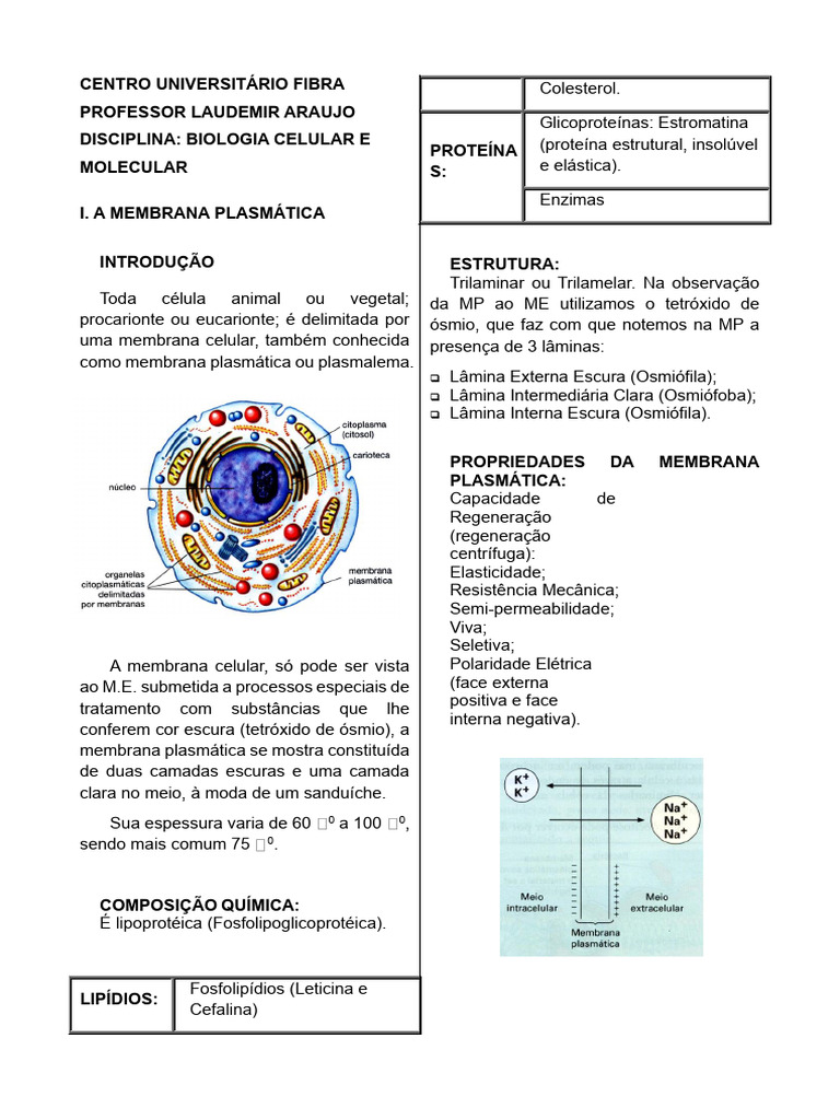 Apostila de Membrana PlasmÃ¡tica | PDF