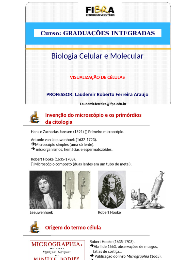 Aula 1 VisualizaÃ Ã o de Cã©lulas BCM | PDF