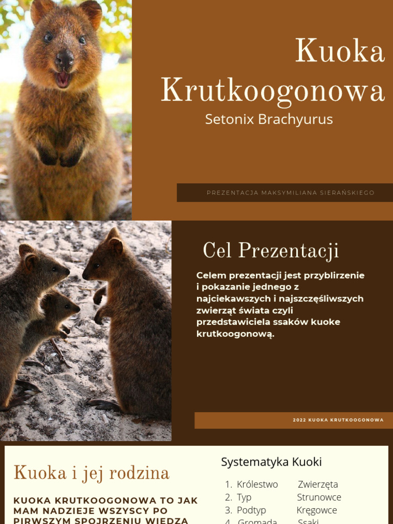 Prezentacja Kuoka Krutkoogonowa | PDF