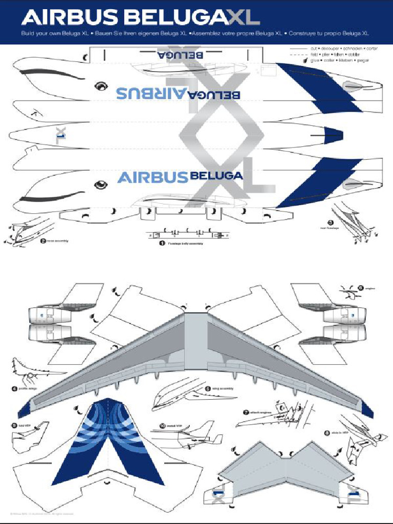 Beluga | PDF