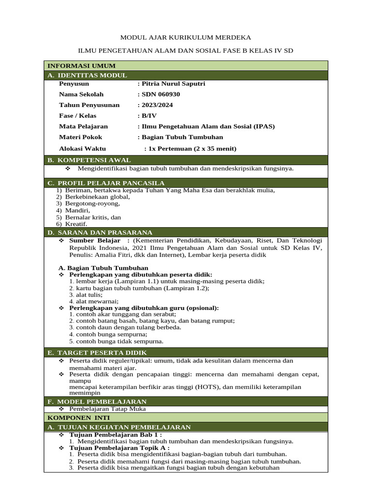 Modul Pitri | PDF