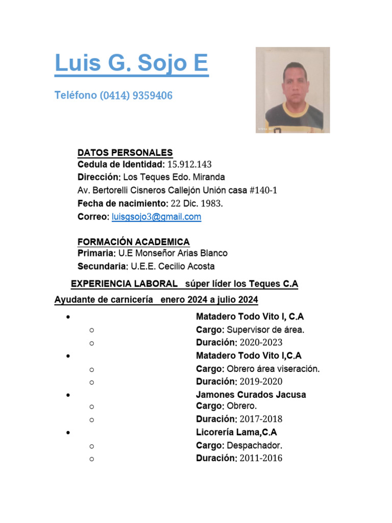 Curriculo Luis G | PDF