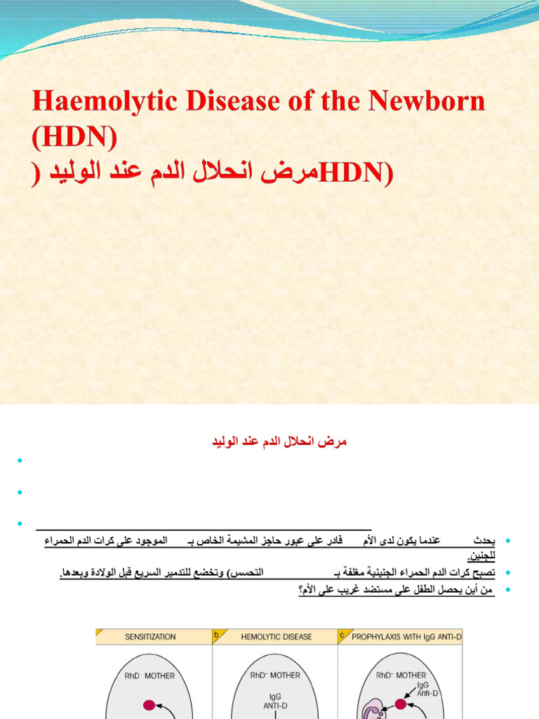 Lecture 11 HDN | PDF