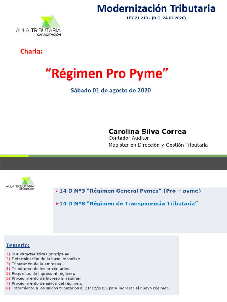 Regimen Pro Pyme | PDF