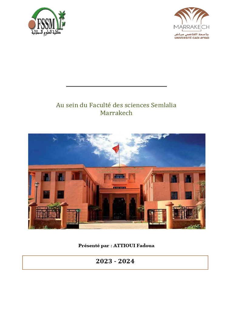 Rapport de Stage FSSM | PDF