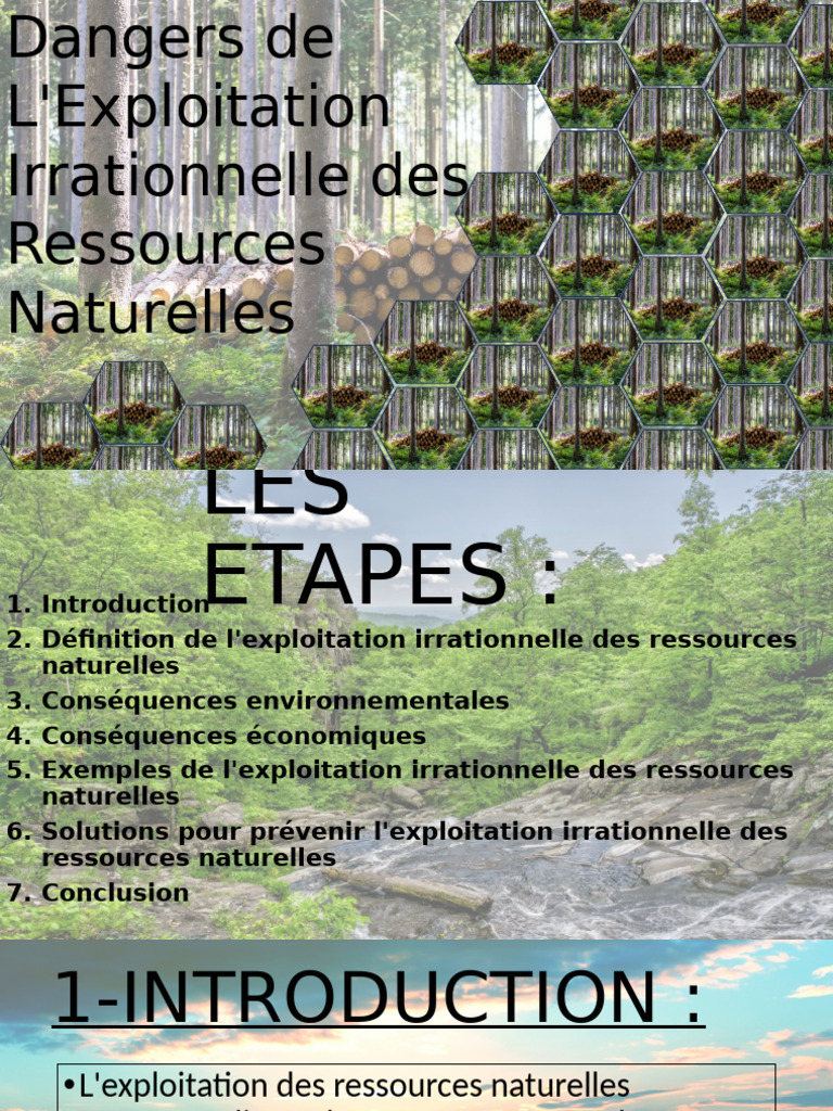 Dangers de L'exploitation Irrationnelle Des Ressources Naturelles | PDF ...