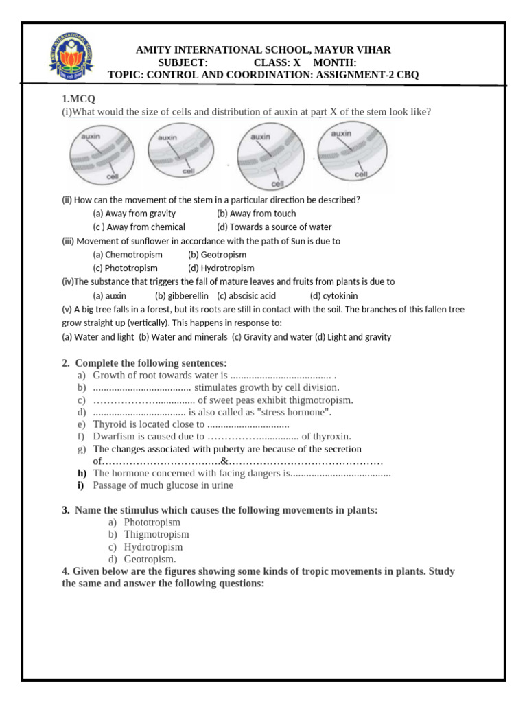 Control and Co-Ordination CBQ 2 | PDF