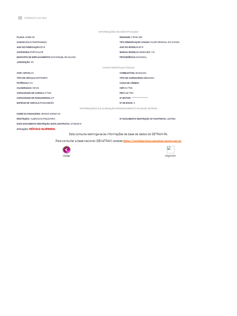 Consulta Ao SNG | PDF