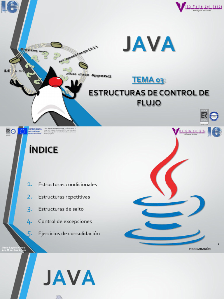 Tema03_JAVA | PDF