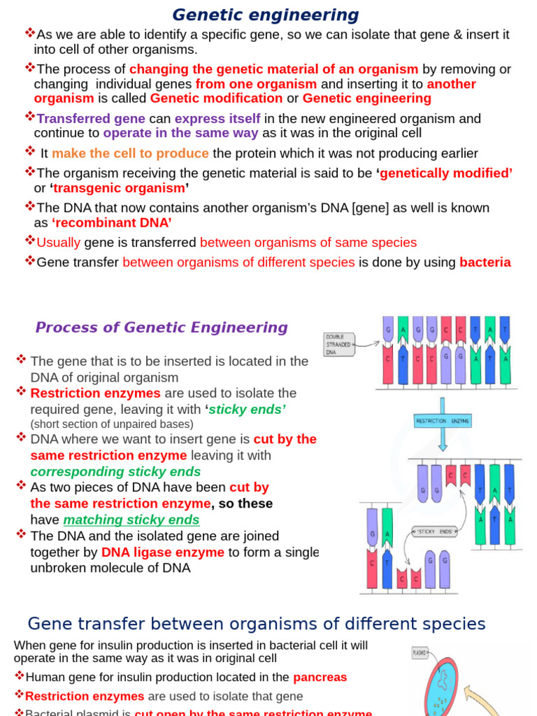Genetic Engineering | PDF
