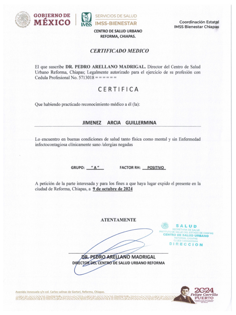 Certificado Guillermina | PDF