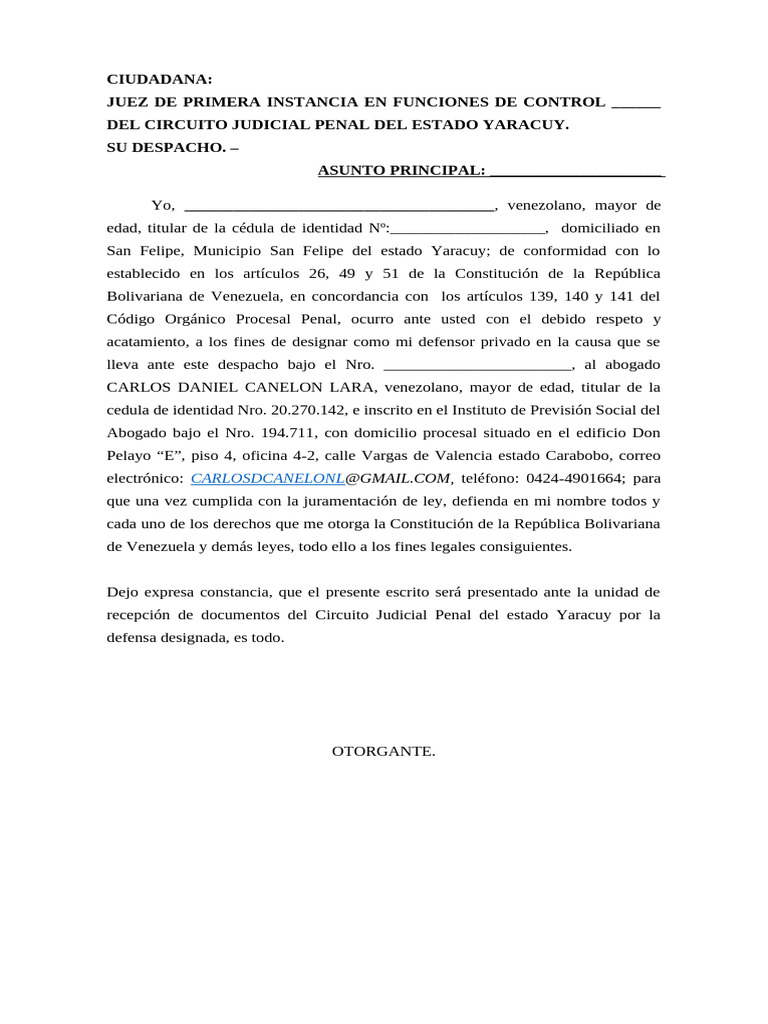 DESIGNACION DE DEFENSOR | PDF