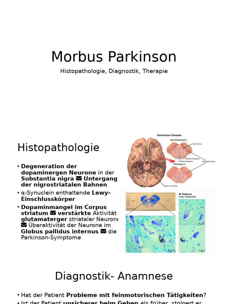 Präsentation Morbus Parkinson | PDF | Basal Ganglia | Wellness