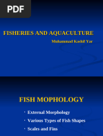 Body Shape of Fishes | PDF | Fin | Fish