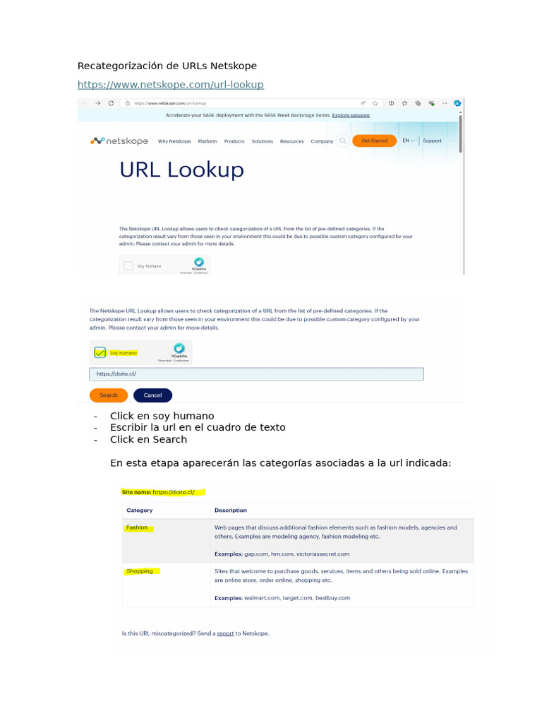 Recategorizacion URLs Netskope | PDF