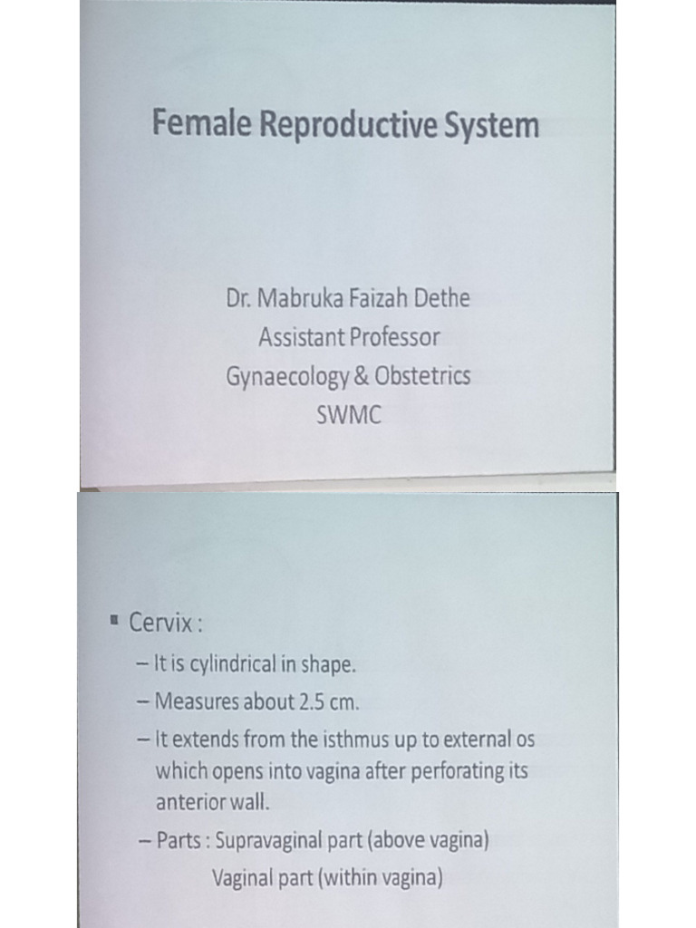 Female Reproductive System | PDF